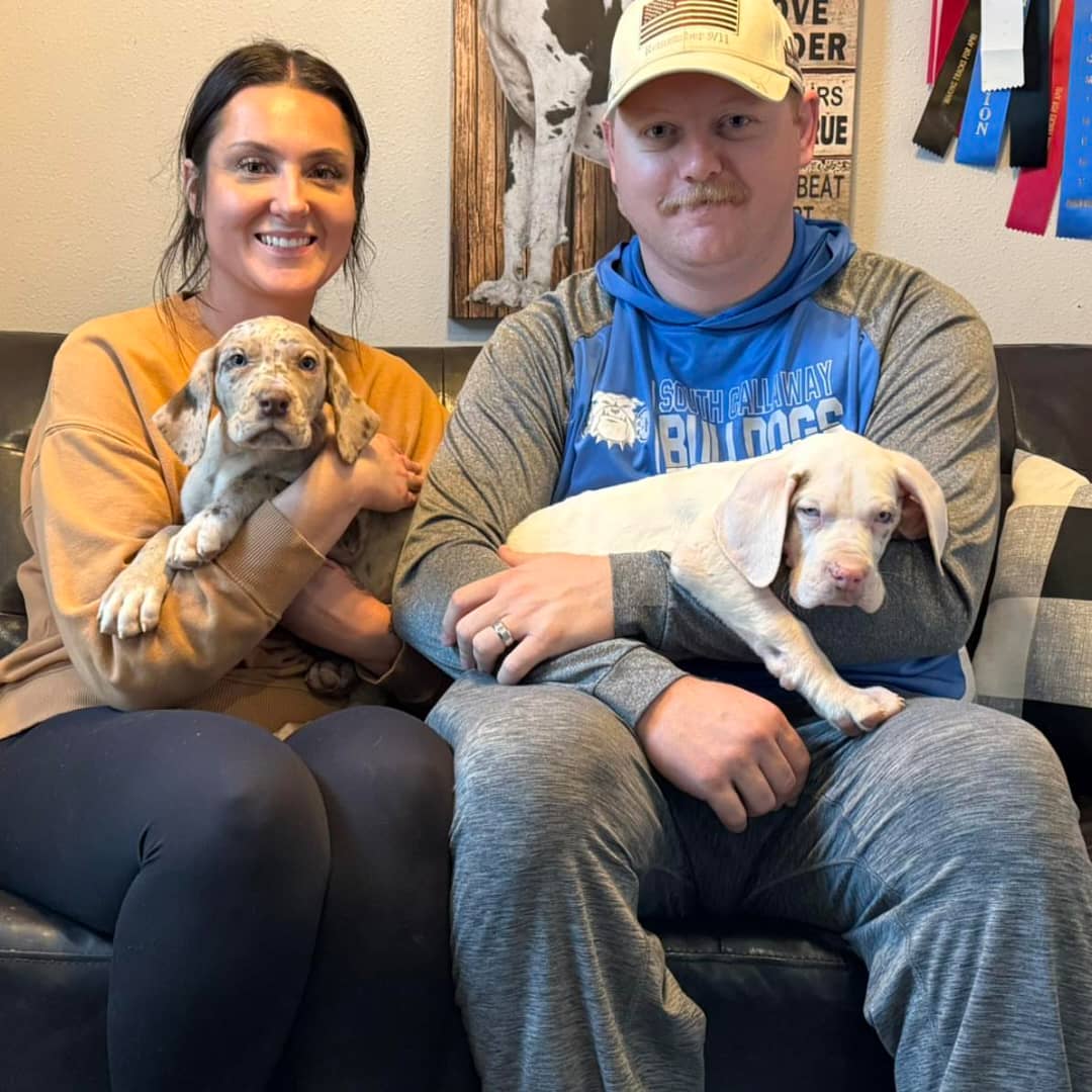 How we raise our Great Dane puppies